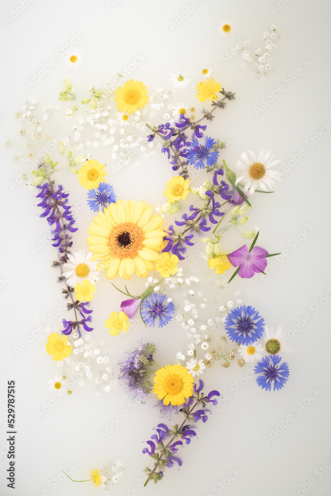 watercolor floral background of floating spring flowers Stock Photo ...