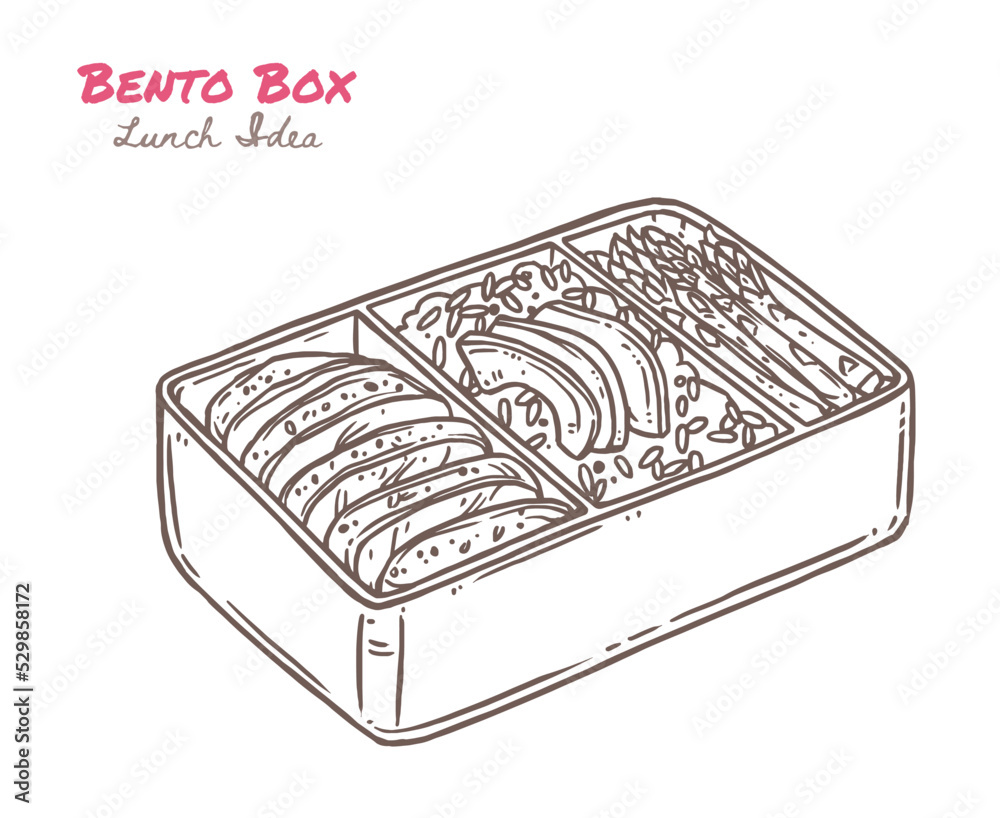 Bento box with healthy food in separate sections for lunch sketch ...