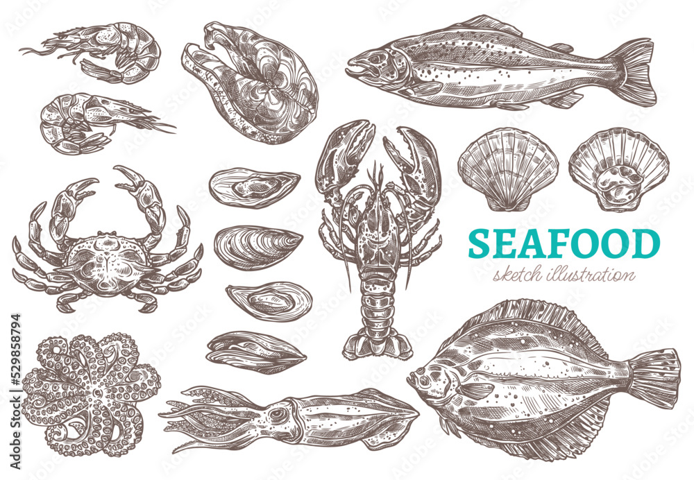 Seafood set of sketch vector illustrations - different kinds of sea and ...