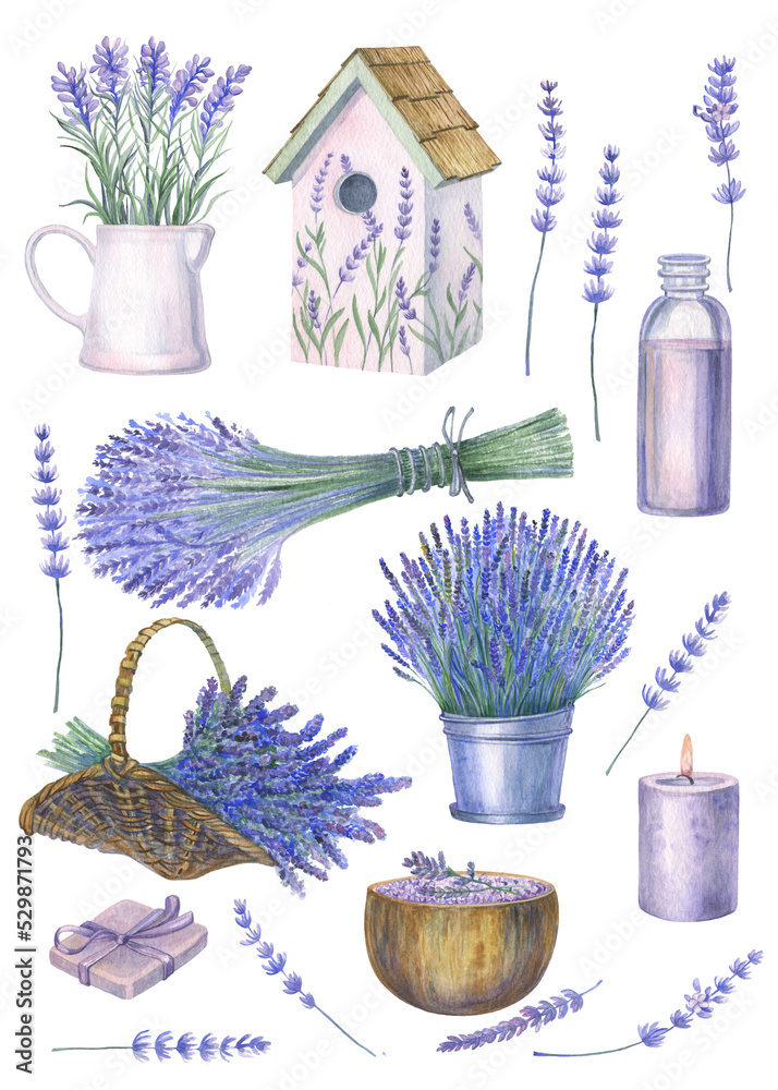 a large set of watercolor images of lavender. lavender oil.spa lavender ...