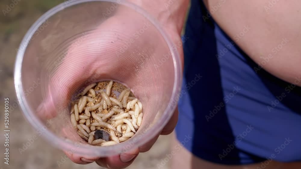 Male Hand Holding a Transparent Plastic Cup with Maggots on a Nature ...