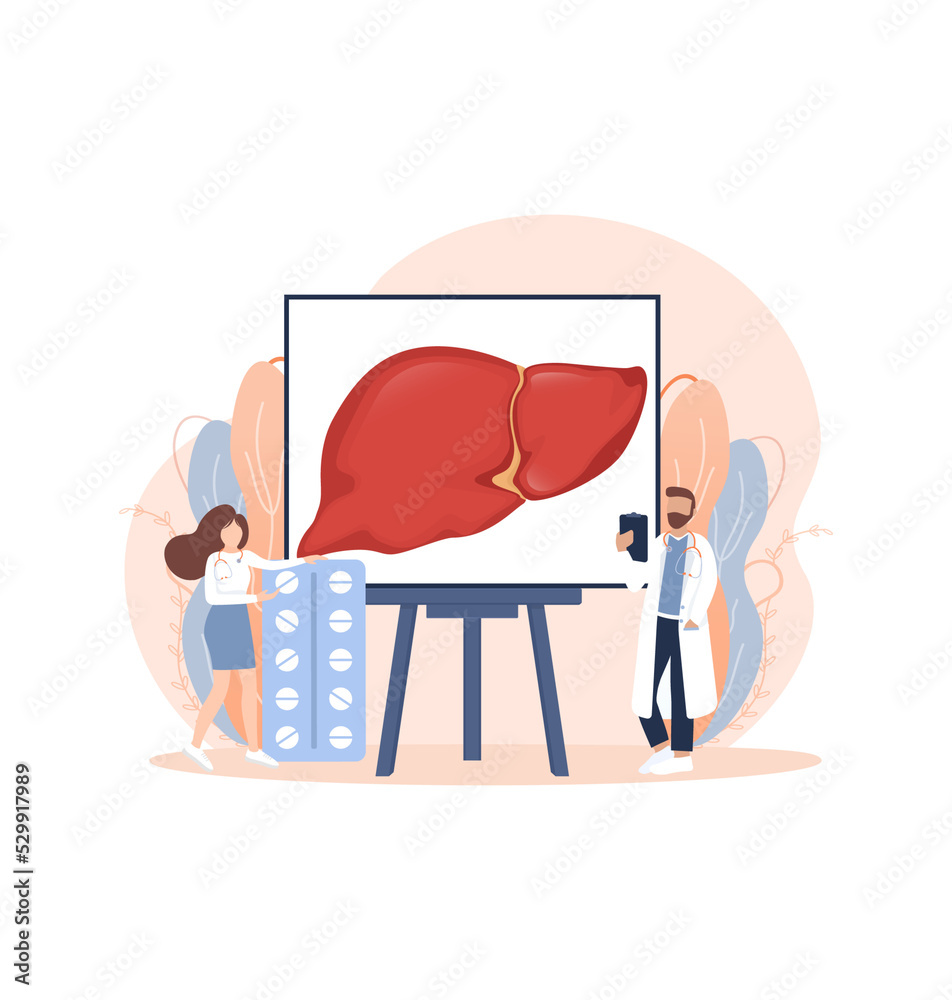 Flat illustration with liver on white background for medical design ...