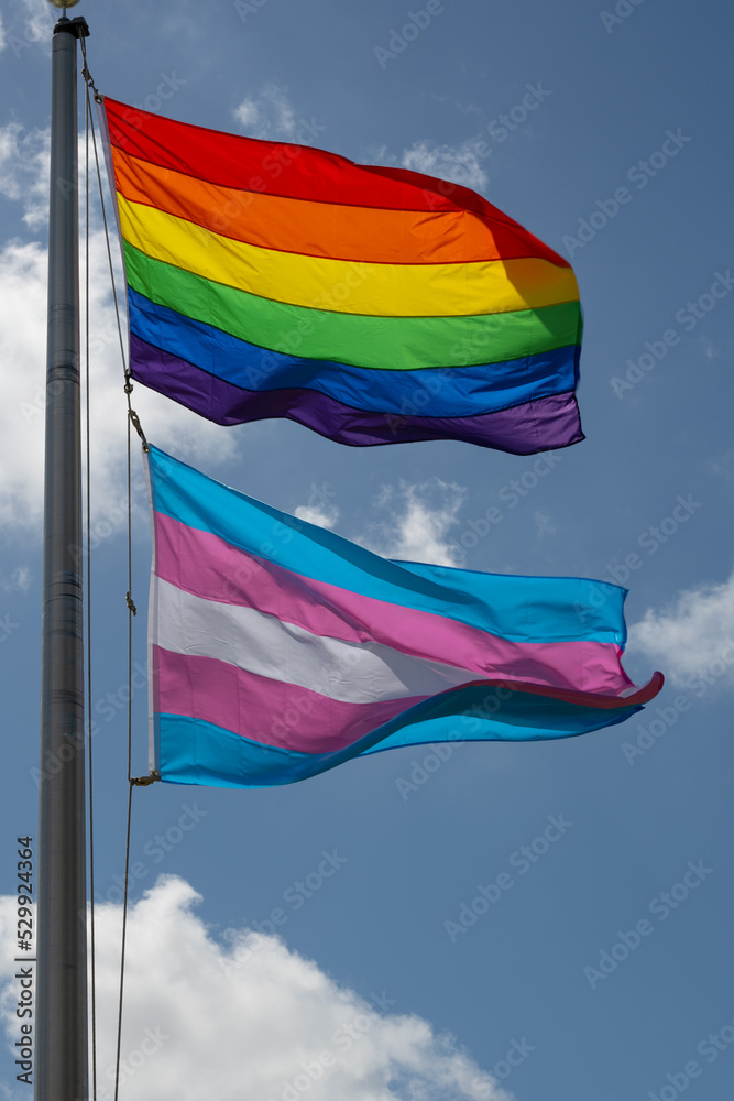 Pride Flags Stock Photo | Adobe Stock