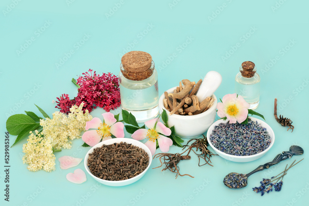 Homeopathic preparation of alternative herbal plant medicine. Valerian ...