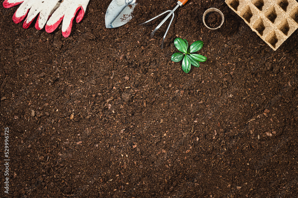 Gardening tools on fertile soil texture background seen from above, top ...