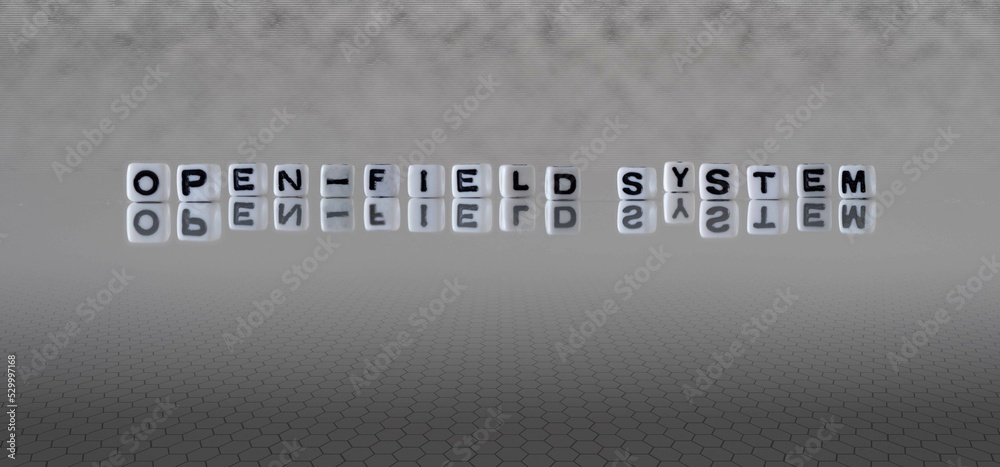 open field system word or concept represented by black and white letter ...