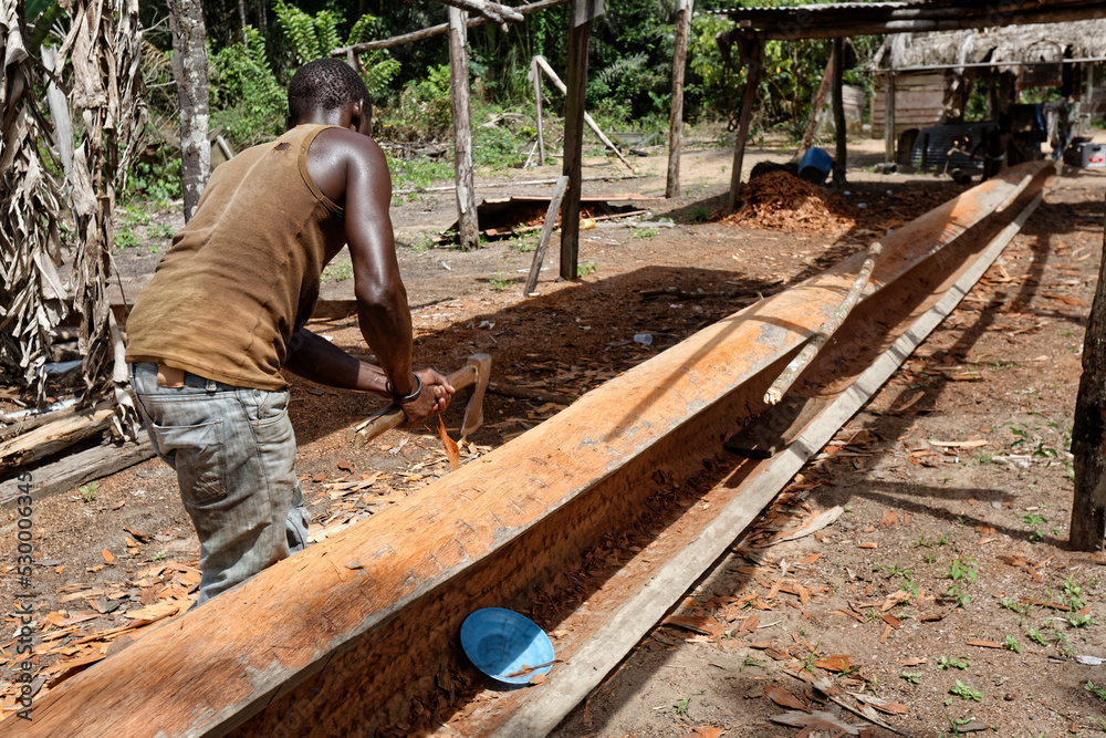 Construction traditionnelle d'une pirogue dans un village en bordure du ...