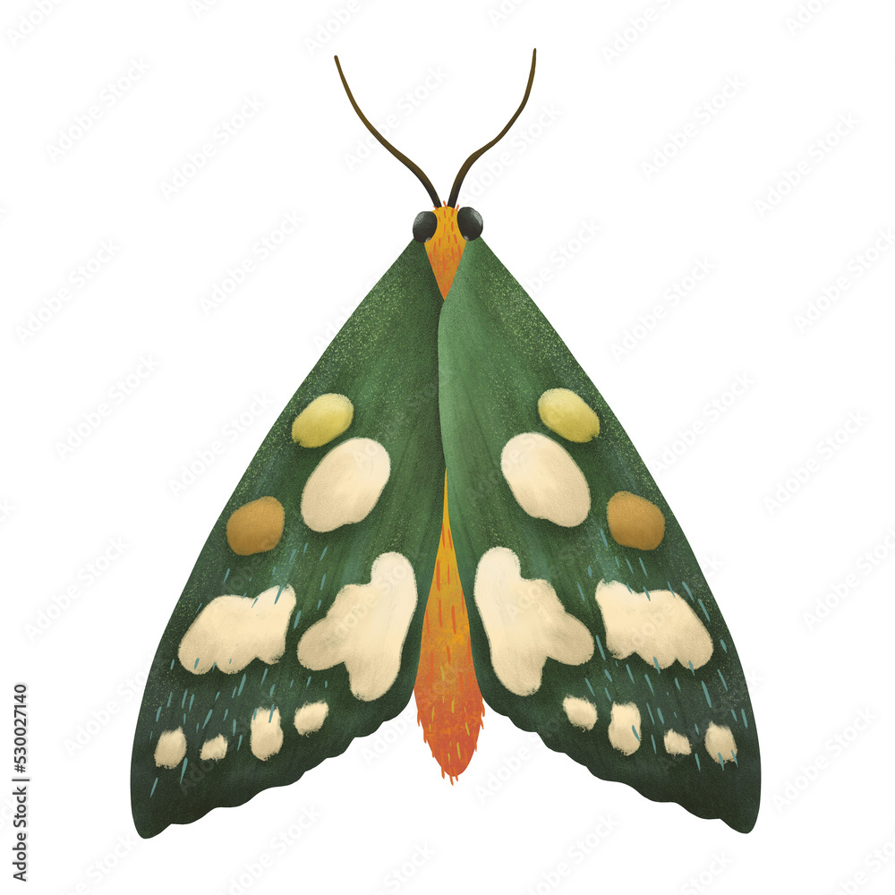 Green and orange moth, cartoon styleisolated on transparent background ...