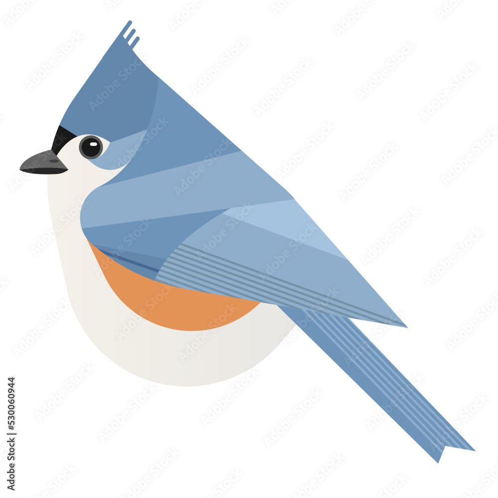 illustration of a Tufted Titmouse Bird ,vector , png , svg , jpeg Stock ...