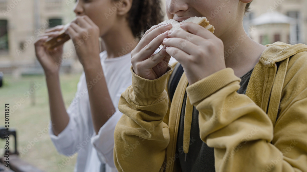 School children eating sandwiches, having meal after classes, kids ...