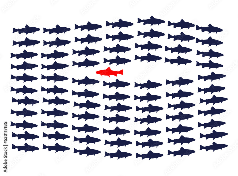 One fish swims in the opposite direction of all the other fish in the ...