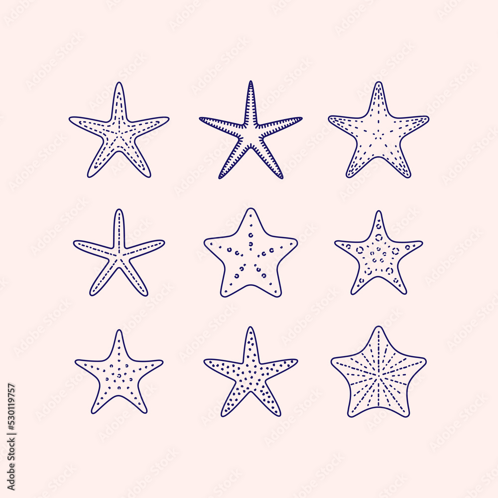 Starfish illustration. Stylized vector element for prints, clothing ...