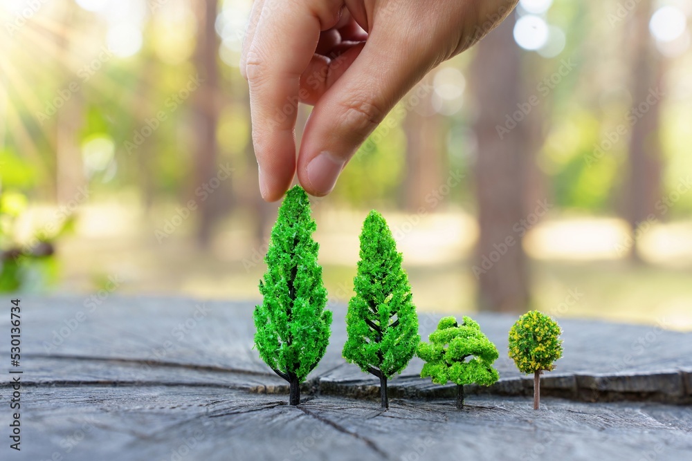 Hand planting toy trees in the forest Stock Photo | Adobe Stock