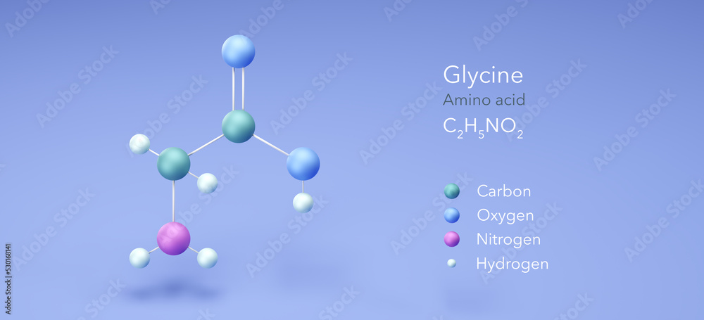 glycine, amino acid, molecular structures, 3d model, Structural ...