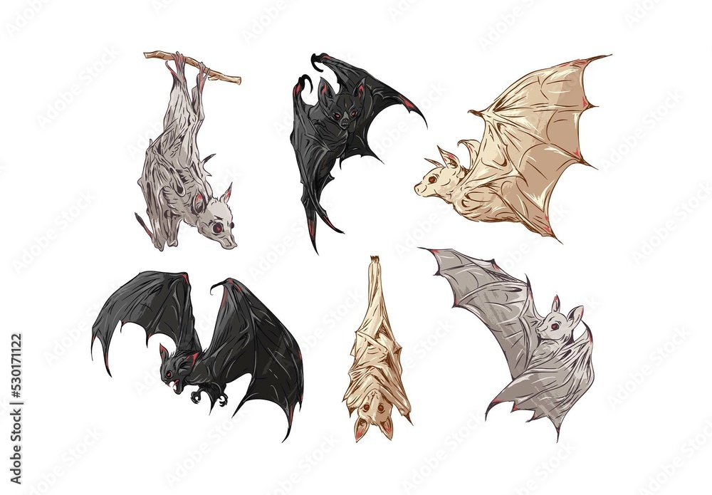 Vampire Bat Illustrations with Scary Horror Style Stock Template ...