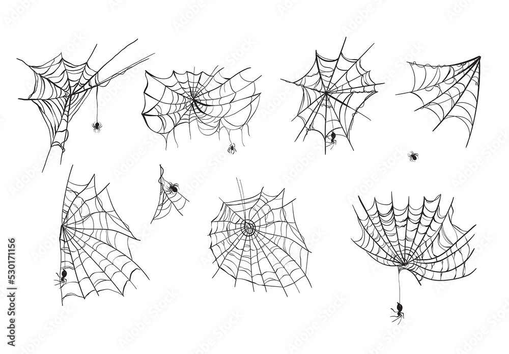 Spider Web Illustrations Stock Template | Adobe Stock