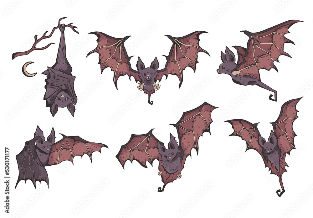 Scary Vampire Bat Illustrations Stock Template | Adobe Stock