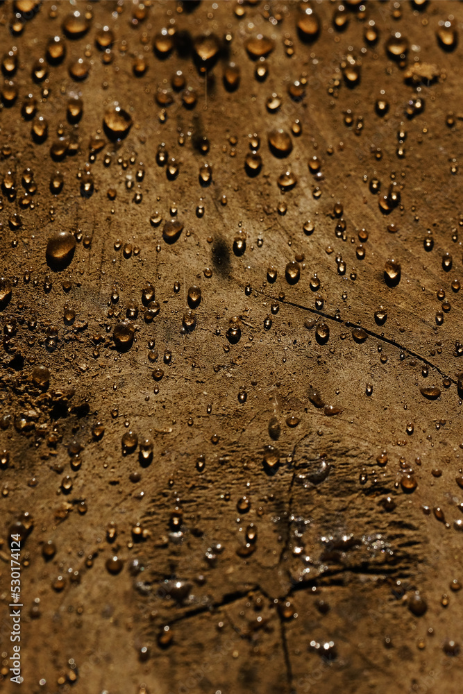 Wet wood shows water droplets on rustic texture background. Stock Photo ...