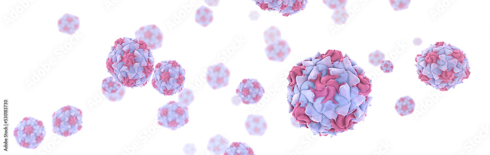 Polio virus particles with their viral capsid proteins. Poliomyelitis ...