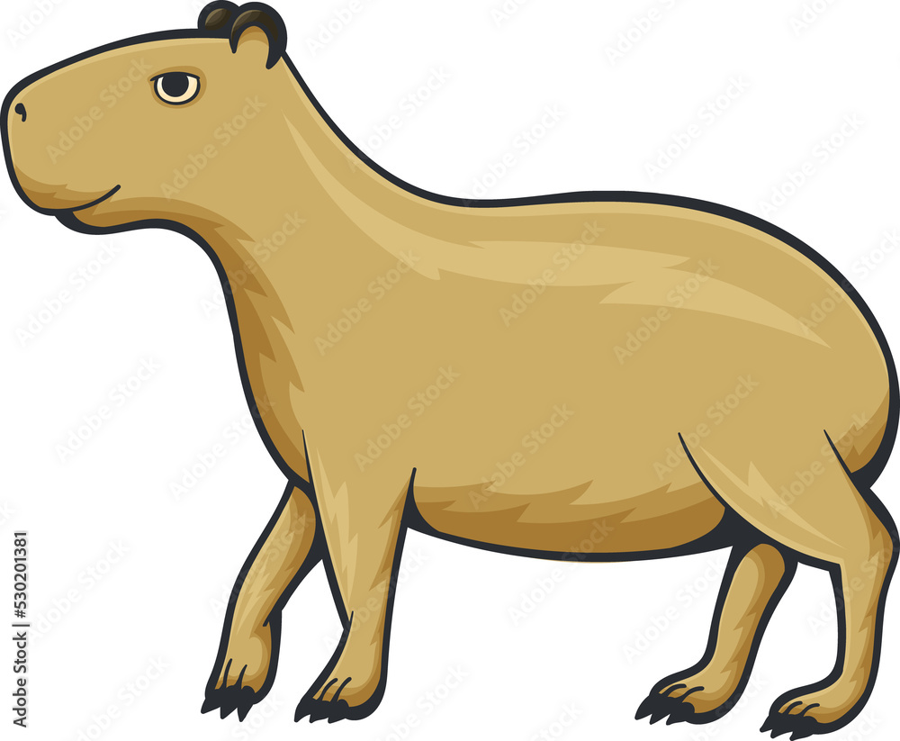 Lesser capybara isolated Capybara guinea pig Stock-Illustration | Adobe ...