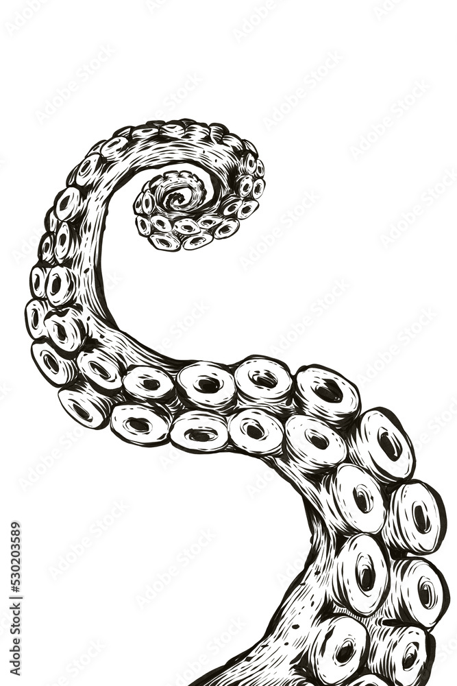 Poster The tentacles drawing on transparent background – Muurposter ...