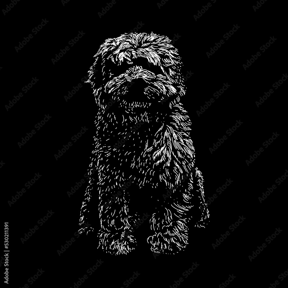 Maltipoo hand drawing vector illustration isolated on black background ...