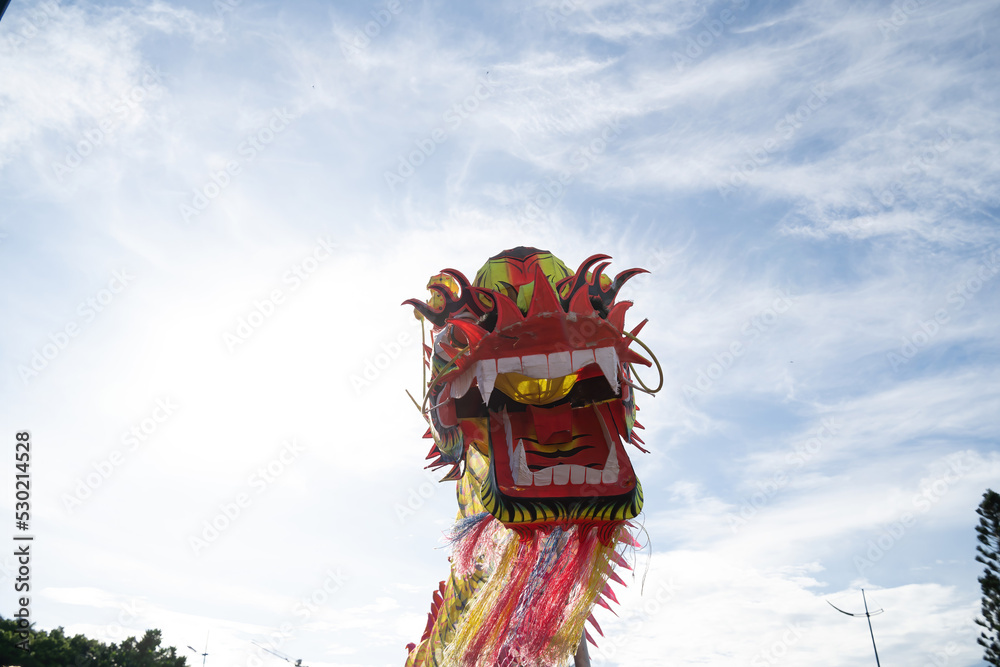 A head of Chinese Dragon dance in the Chinese new year festival. Lion ...