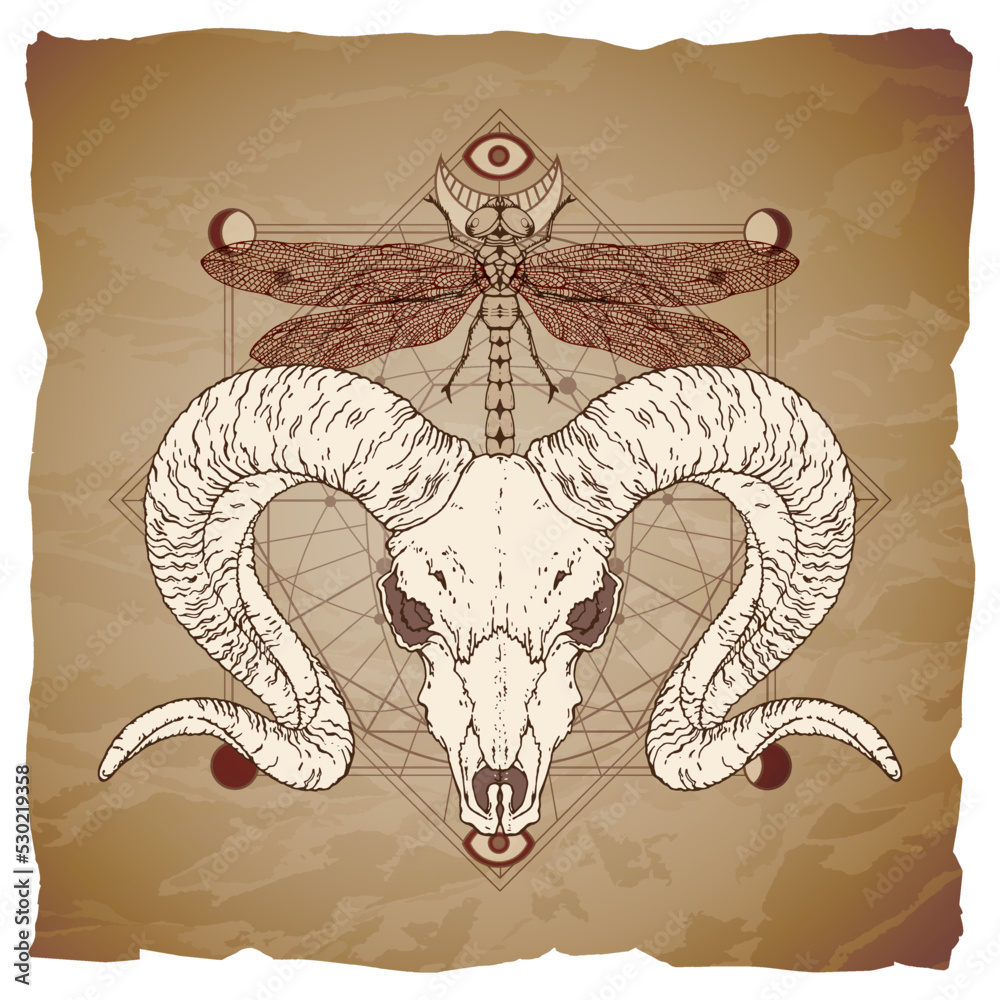 Vector illustration with hand drawn ram skull, dragonfly and Sacred ...