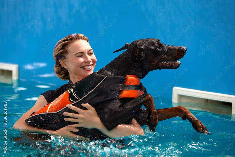 Dog in life jacket swim in the swimming pool with coach. Pet ...
