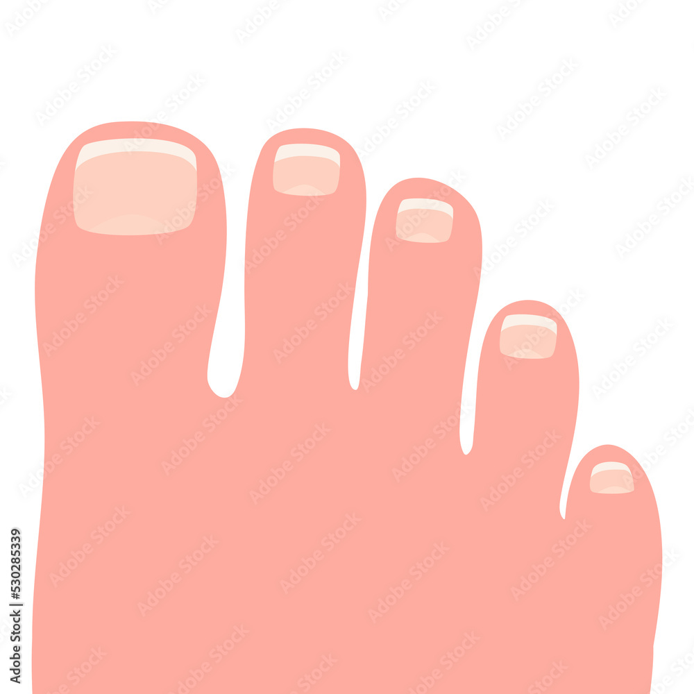 Female right foot cartoon vector illustration isolated on a white ...