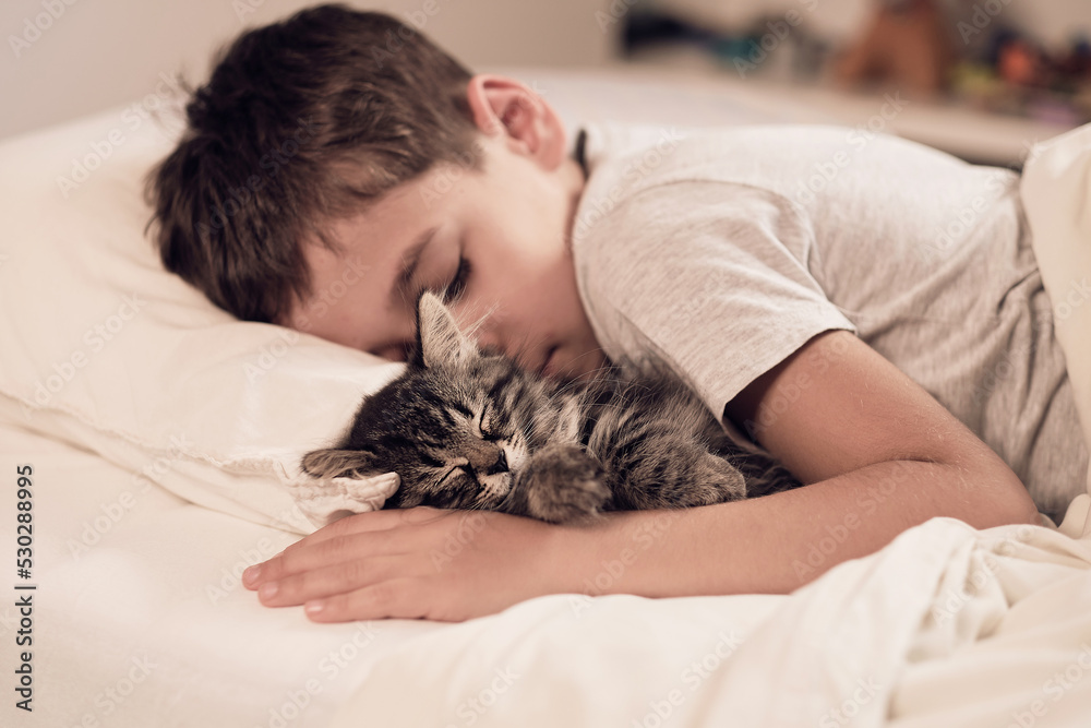 little asian boy with kitten sweetly sleep in bed. Child and cat. Kids ...