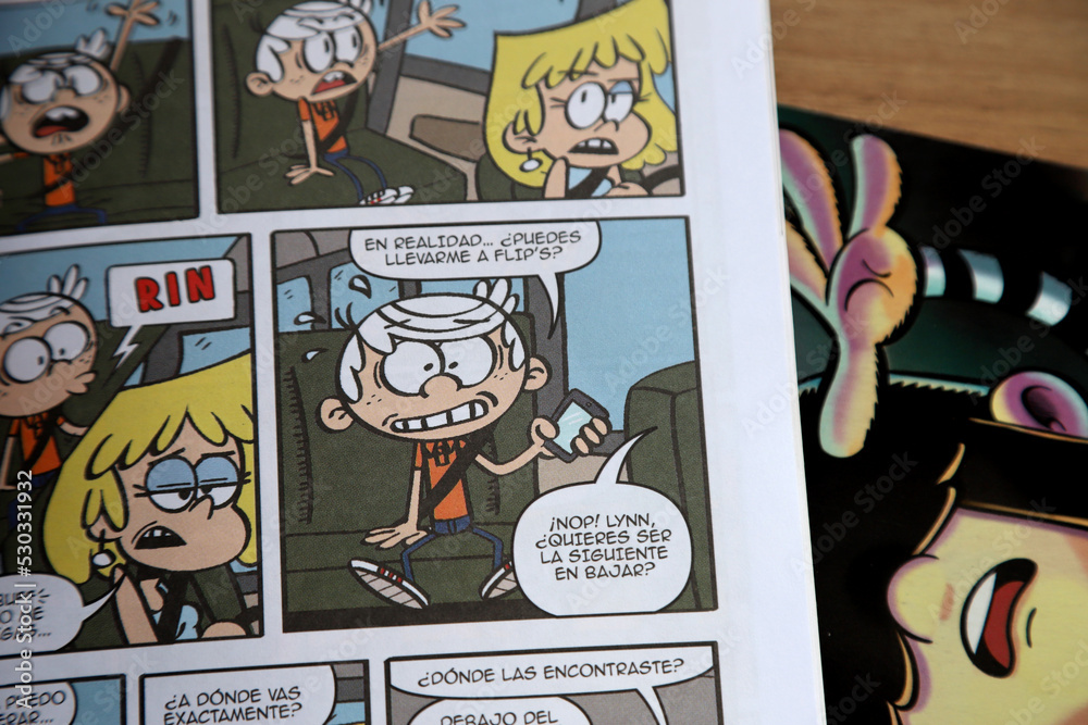 Comic book from the television series The Loud House. Lincoln and his ...