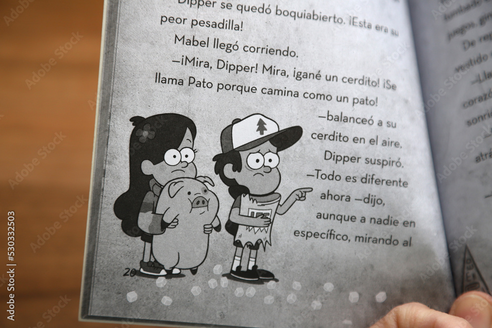 Gravity Falls Picture Book: A Summer of Mysteries. Twin brothers Dipper ...
