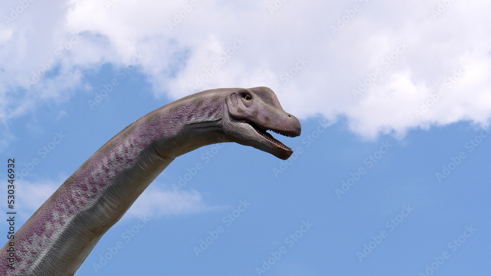 Brachiosaurus Head