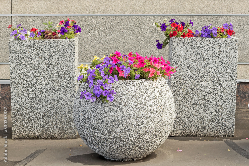 Urban design of stone planters of various shapes for blooming low ...