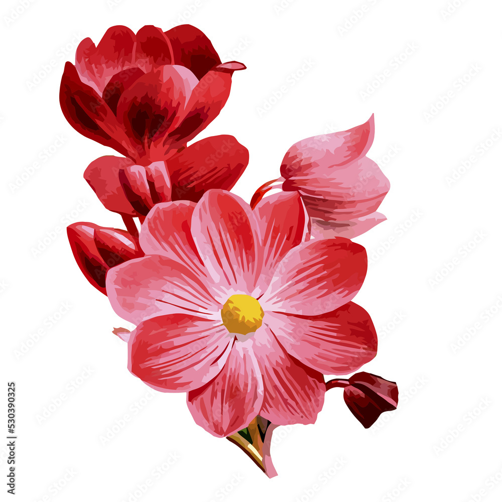 Flowers Png Format With Transparent Background Stock Illustration ...