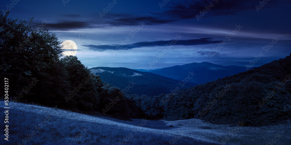 alpine meadows at night in summer. beech forest on the hill in full ...