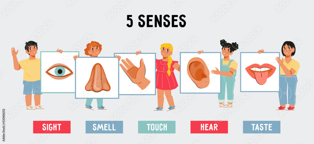 Five 5 senses concept for children educational cards, flat cartoon ...