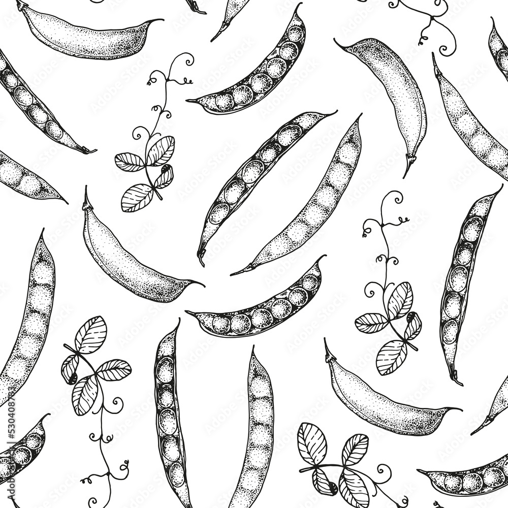 Green pea seamless pattern. Hand drawn background. Vector illustration ...