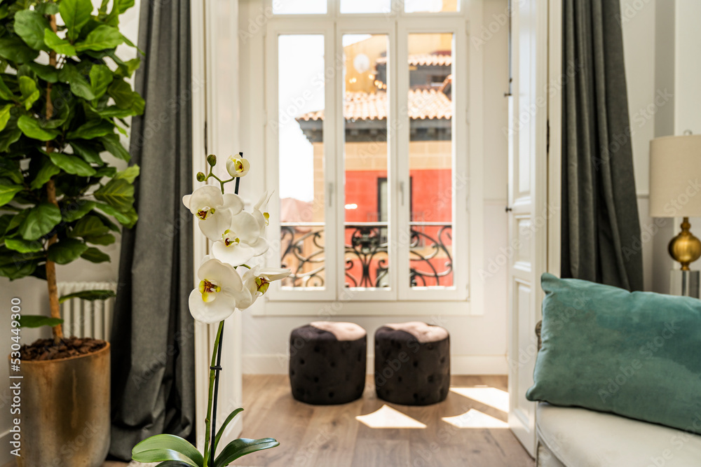 Fresh flowers in a living room with a bay window with white windows and ...
