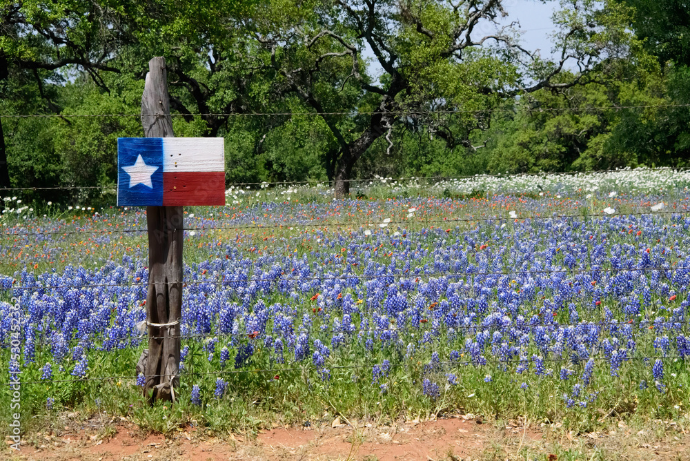 Texas springtime Stock Photo | Adobe Stock