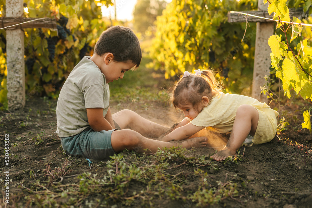 Brother with sister playing in vineyard digging a hole in the ground ...