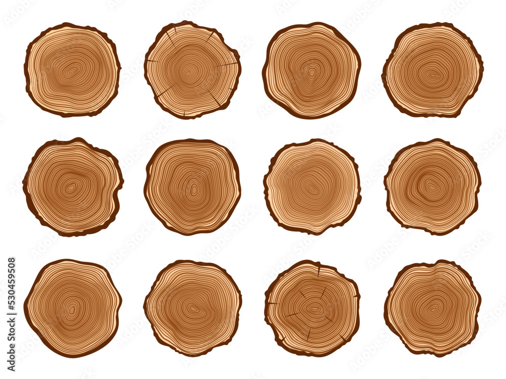 Tree trunks, wood cut stumps with annual circles, log cut sections with ...