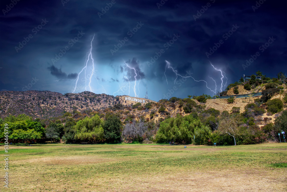 a gorgeous summer landscape in the Hollywood hills with the Hollywood ...