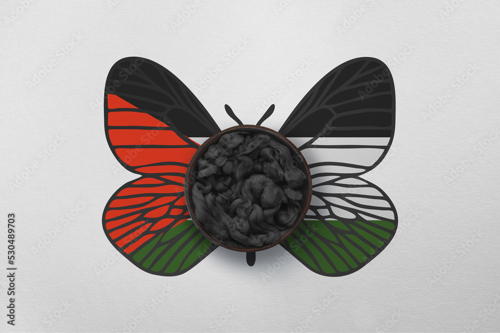 Patriotic background with butterfly wings in colors of national flag ...