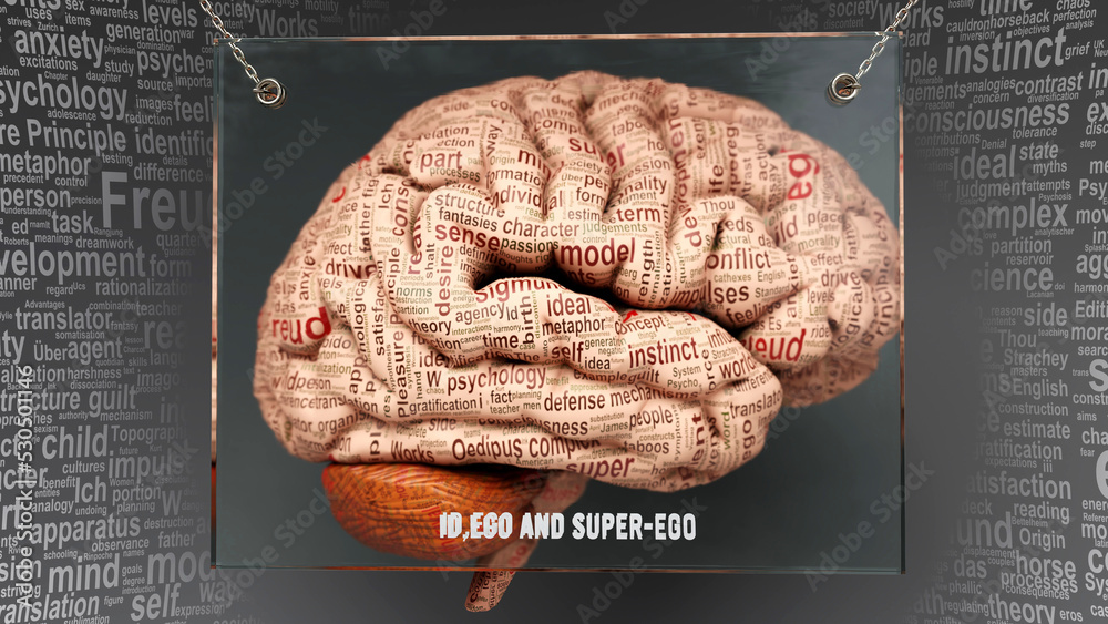Id ego and super ego in human brain - dozens of terms describing its ...