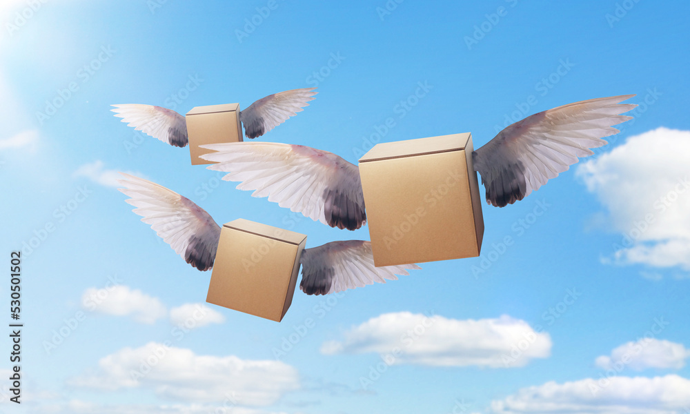 Flying box transportation express delivery order service. Box with ...