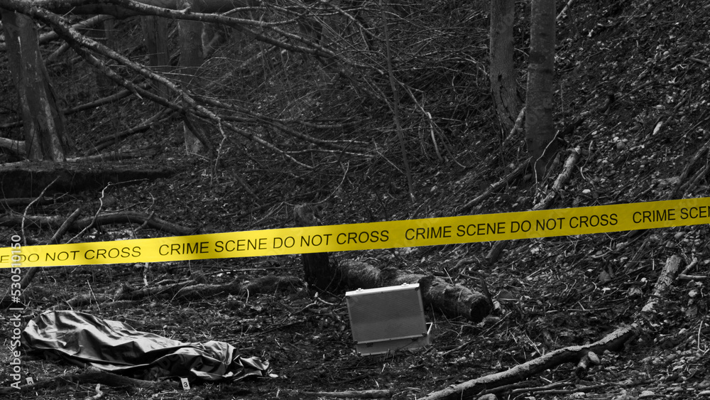 Detectives are collecting evidence in a crime scene. Forensic ...