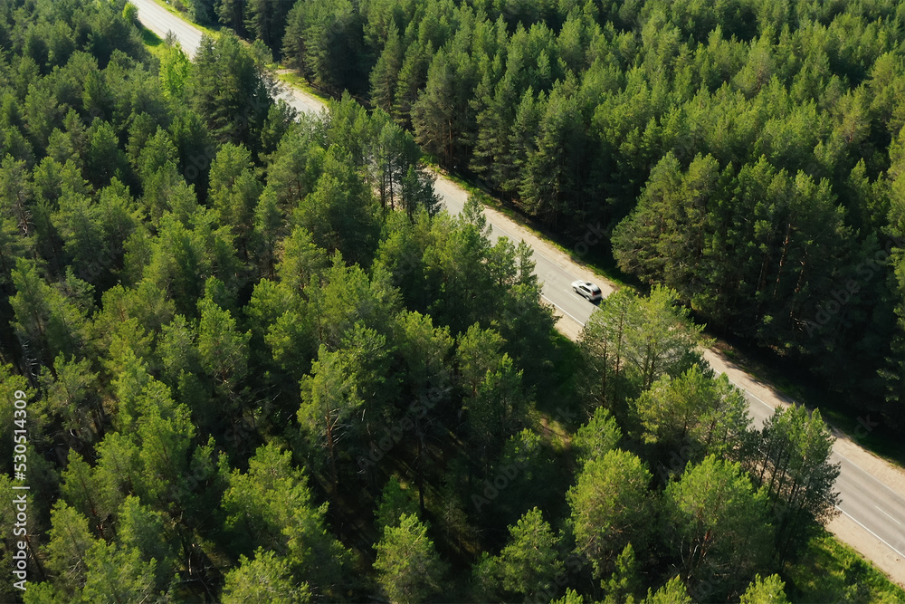 Aerial top view of traffic on summer forest road. Asphalt road with ...