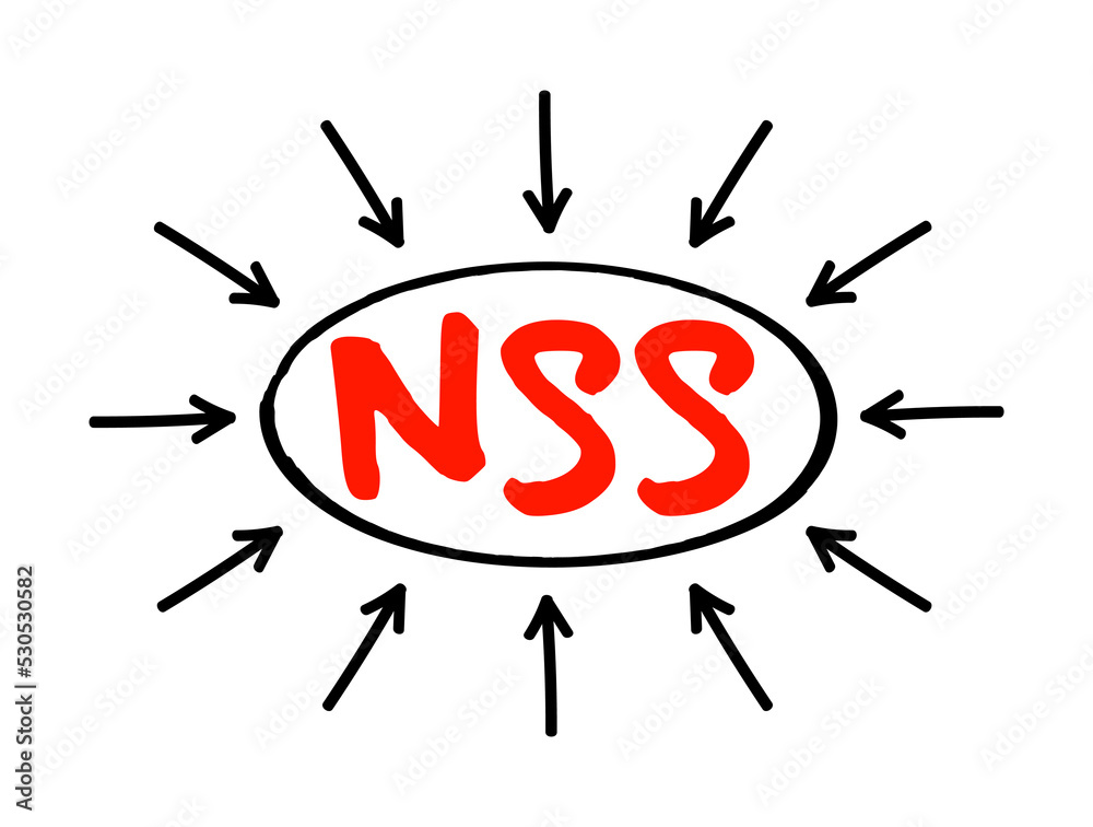 NSS - Network Security Services acronym text with arrows, technology ...